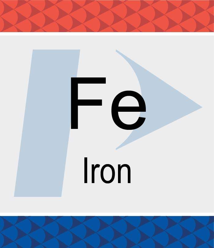 Iron (Fe) Pure Standard, 1,000g/mL, 2% HNO3, 500 mL - GenTech Scientific